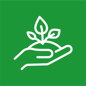 Home · Ecorecyclage